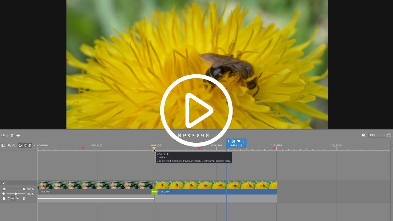 Videa | Milujeme fotografii – vše o digitální fotografii